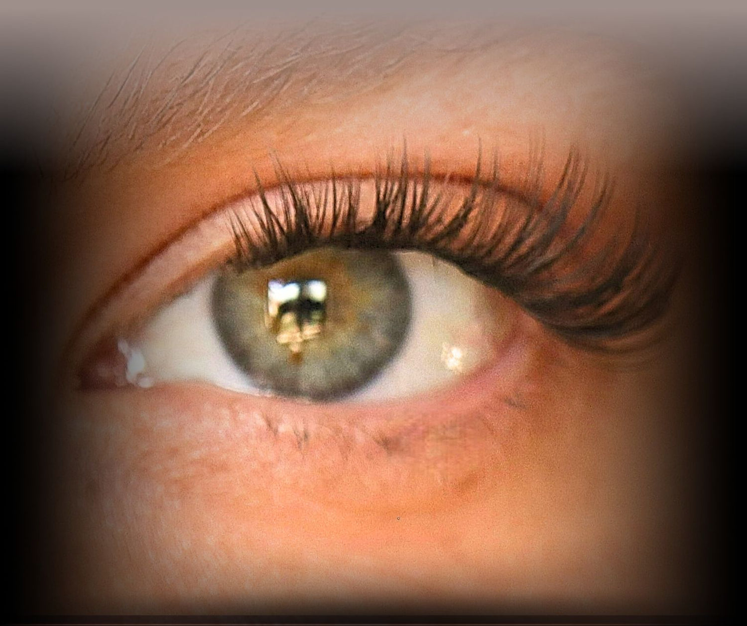 Revolutionising Lash Extensions – LashXtend