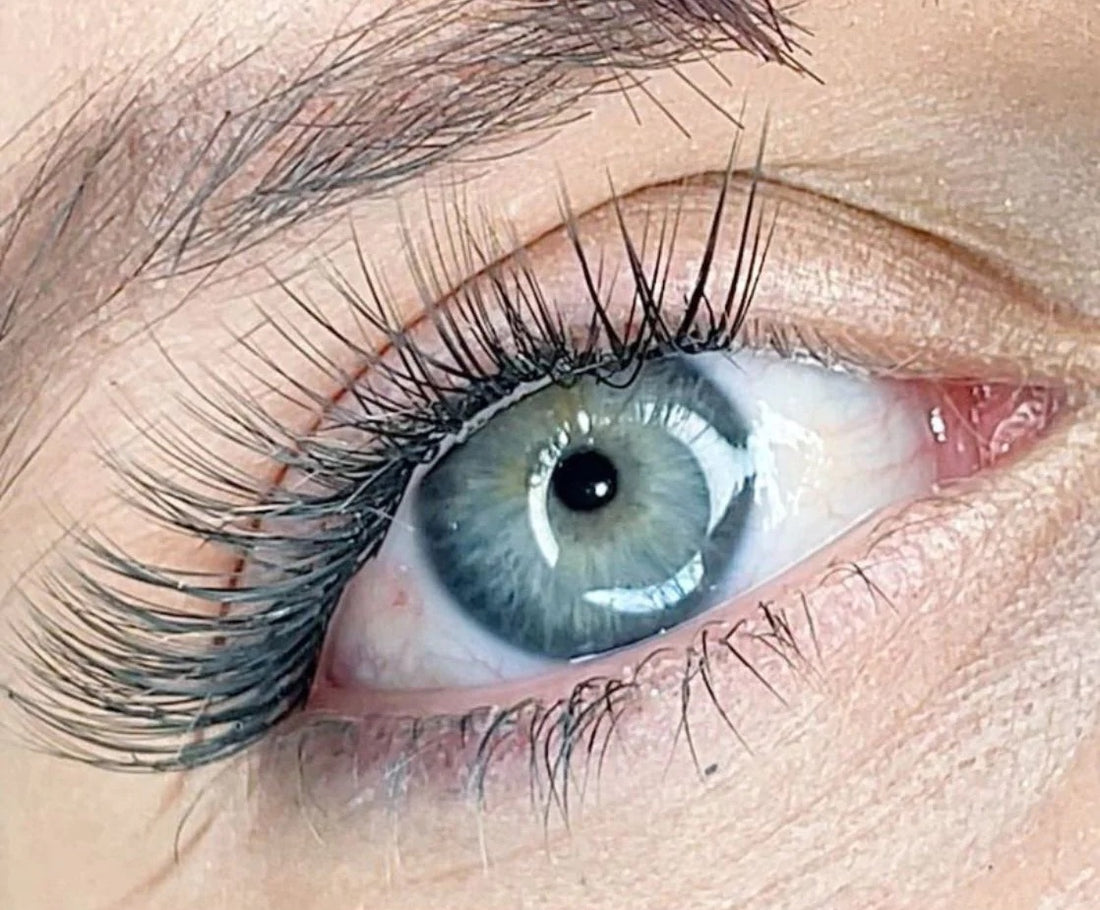 Revolutionising Lash Extensions – LashXtend