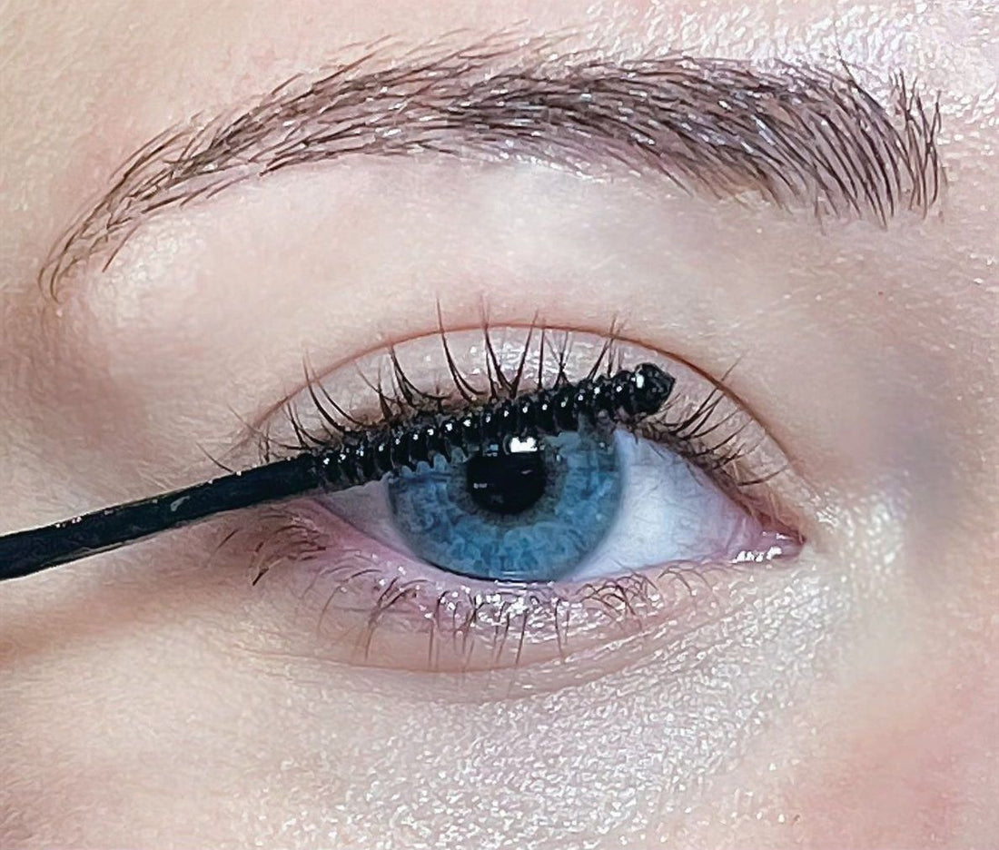 How To Apply LashXtend Lashes