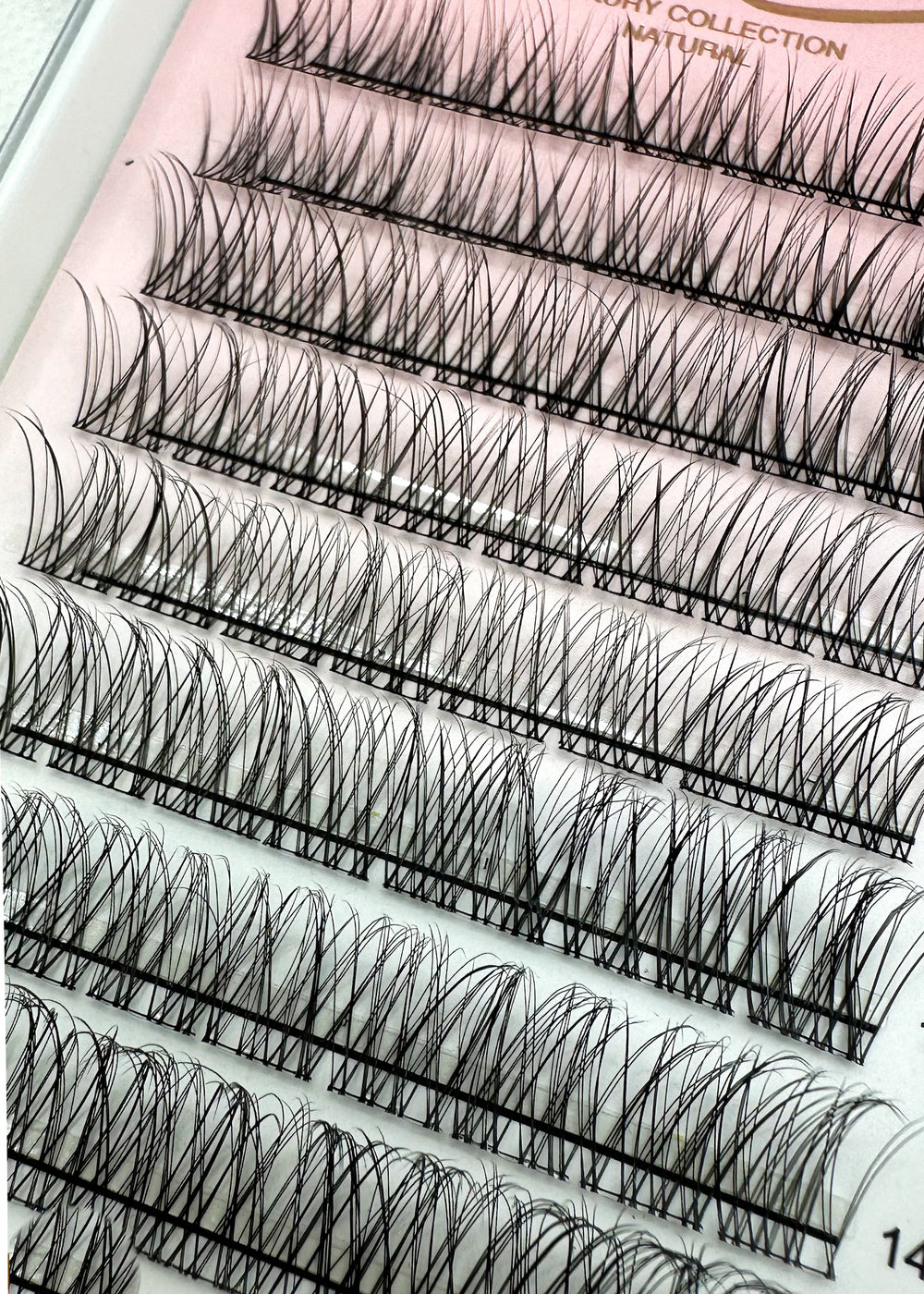 Luxury Pre Cut Lash Segment Kit for Sale Online – LashXtend