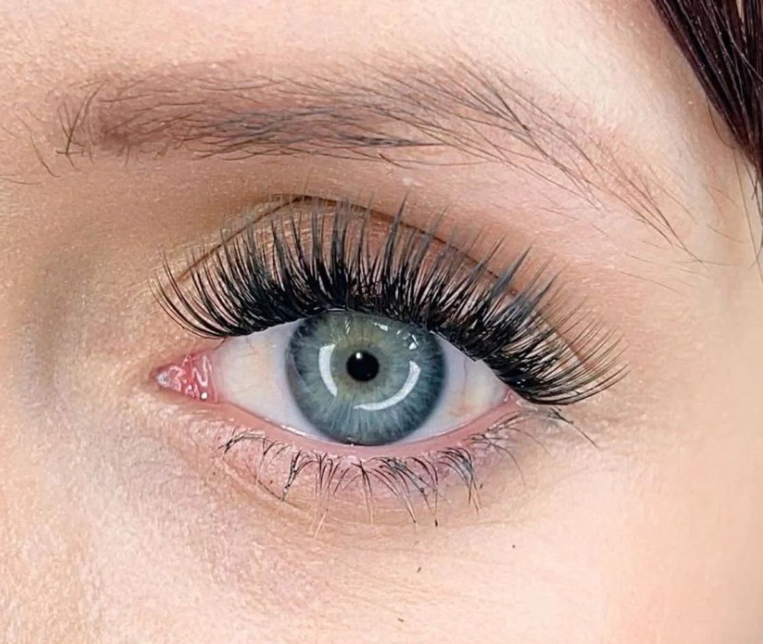 Revolutionising Lash Extensions – LashXtend