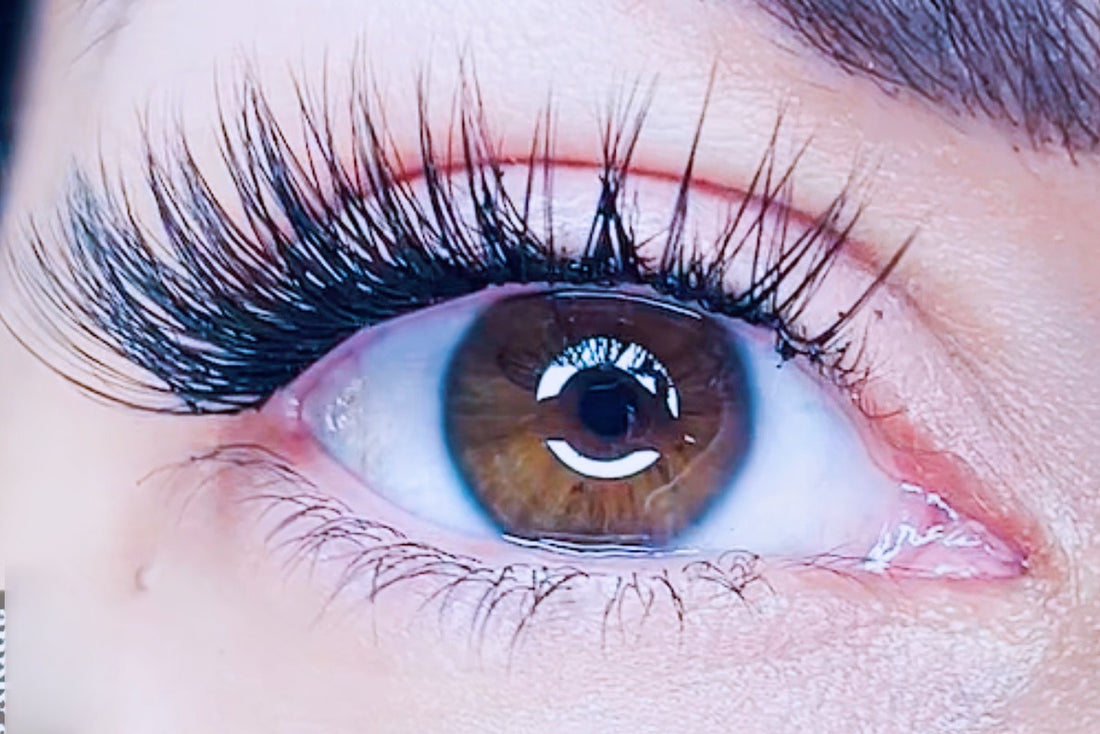 Revolutionising Lash Extensions – LashXtend