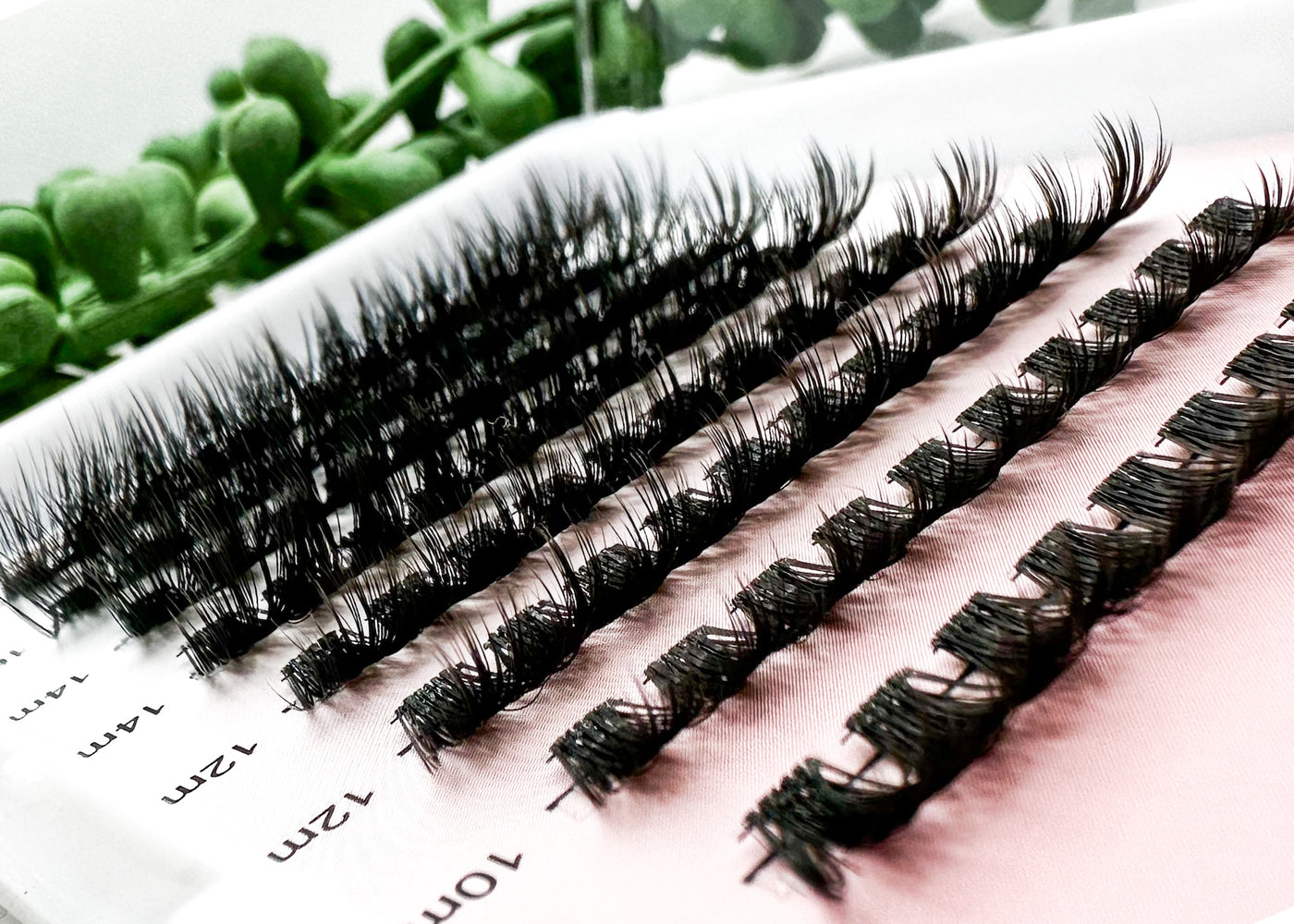 Luxury Pre Cut Lash Segment Kit for Sale Online – LashXtend