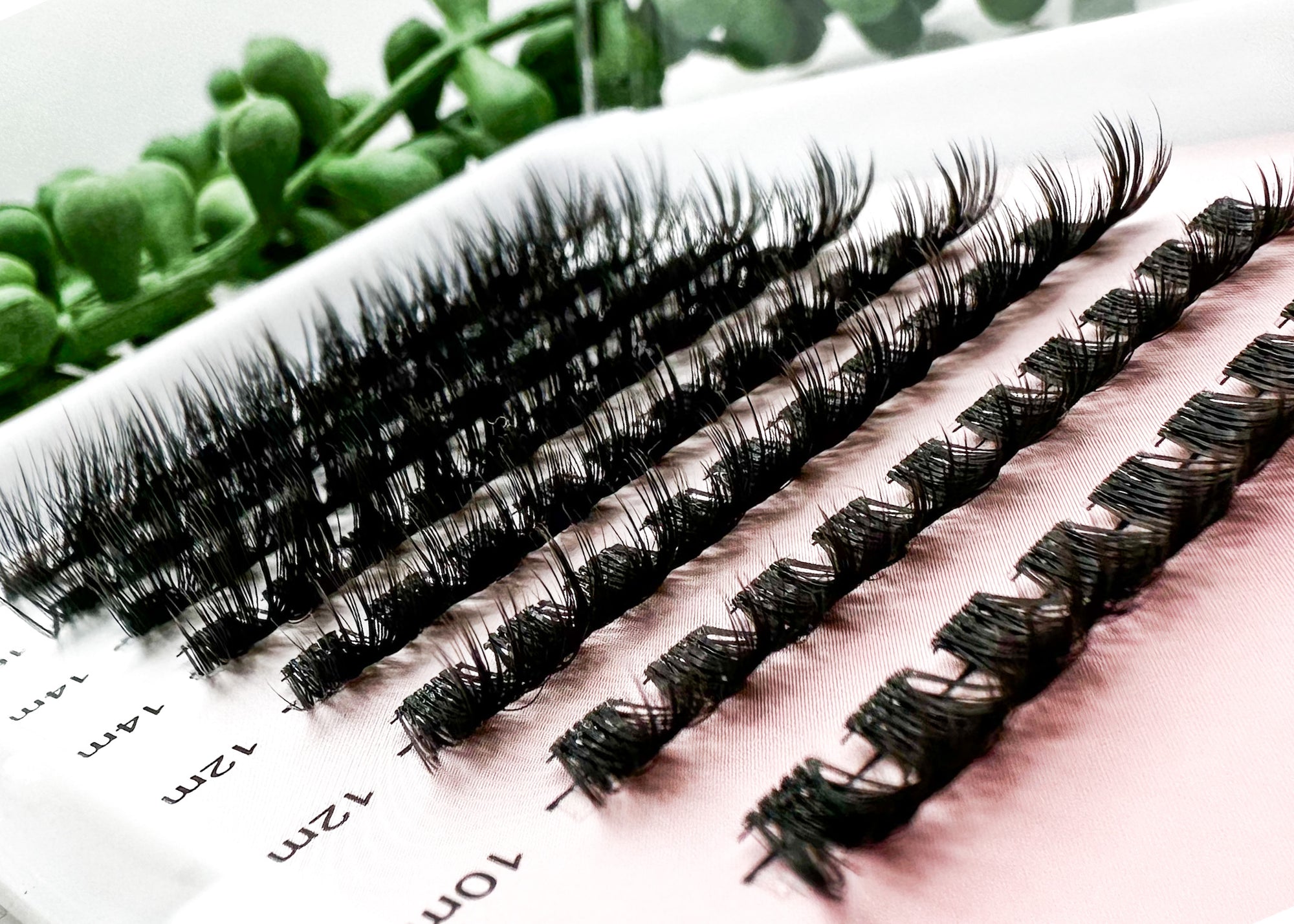 Revolutionising Lash Extensions – LashXtend