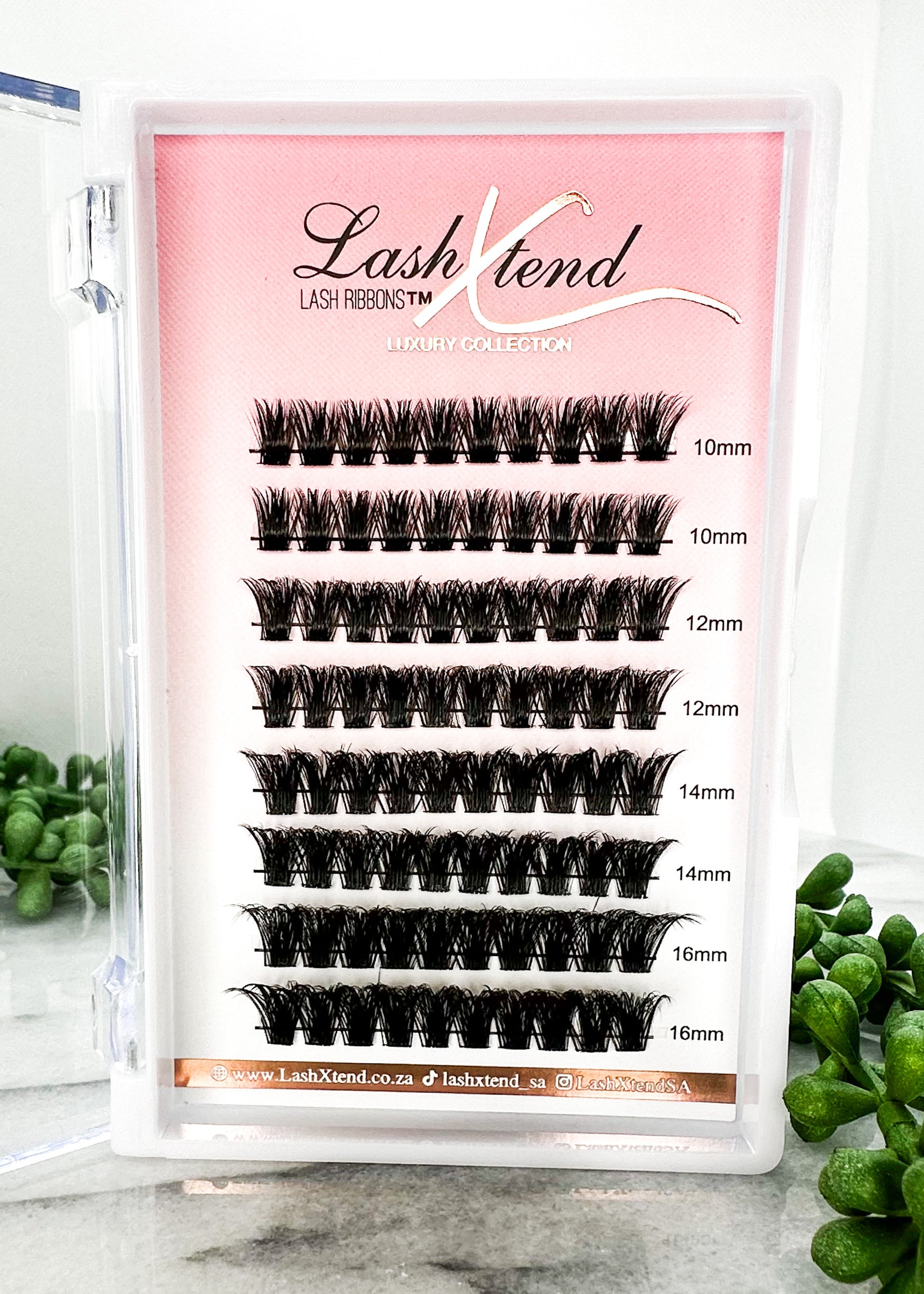 Revolutionising Lash Extensions – LashXtend